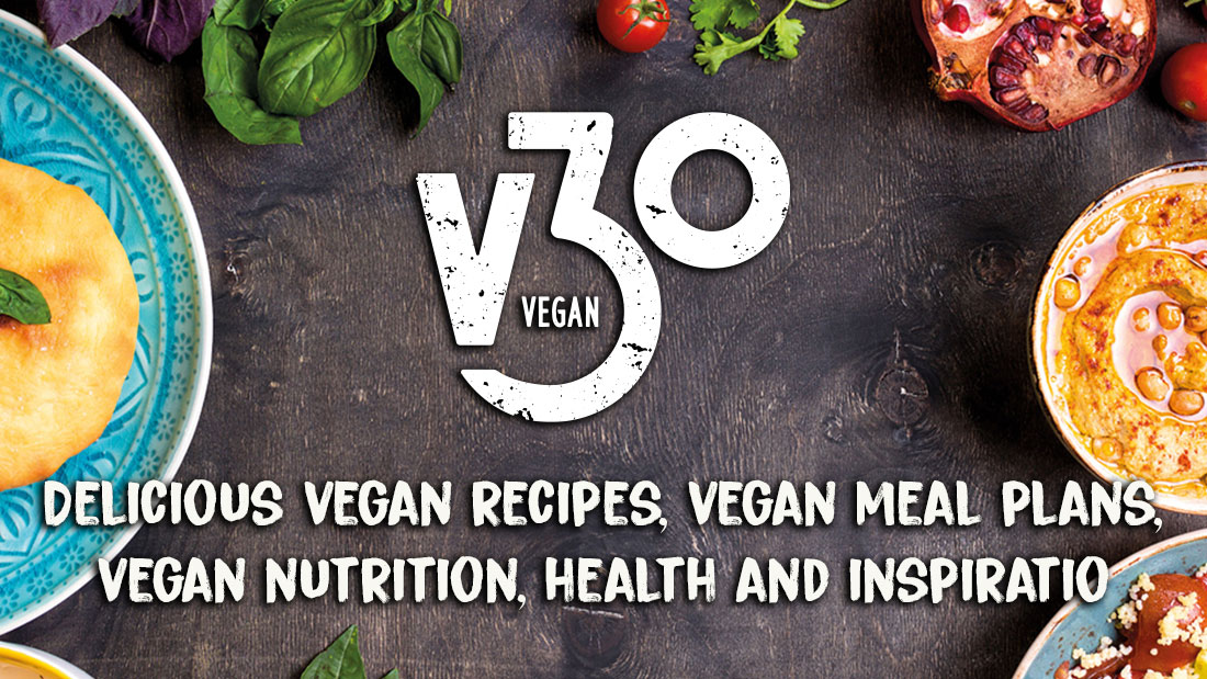 Privacy policy — V30